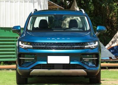 Cina Geely Radar RD6 Nuovo Energy Pickup Truck autonomia a batteria pura 400 km 600 km Veicolo elettrico in vendita