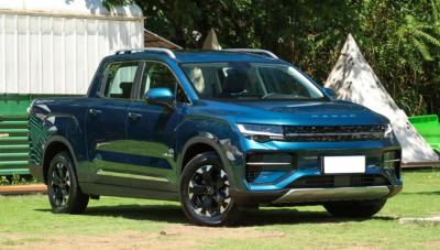 Cina Geely Radar RD6 Nuovo Energy Pickup Truck autonomia a batteria pura 400 km 600 km Veicolo elettrico in vendita