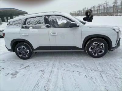 Cina Hyundai Ix35 Mufasa 2.0l DLX Deluxe Edition Compact Suv Tipo Energia a benzina in vendita