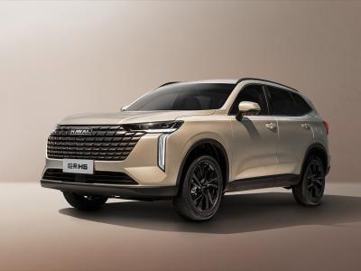China Haval H6 5 zitplaatsen benzine auto SUV voertuigen voor gezinsgebruik en reizen Hotsale gebruikte benzine auto Te koop