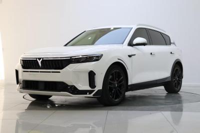 Cina Veicolo usato Voyah FREE 2024 Modello 1.5T 150HP L4 Ultra Long Range Intelligent Driving Version in vendita