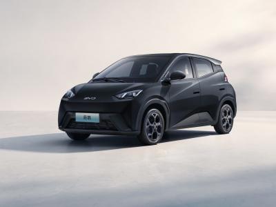 中国 人気の中古車 BYD コンパクトカー 純粋電気 2025.06 405km 0.5時間 30-80% 55kW 135N・m 5ドア 4座席 3780*171 販売のため