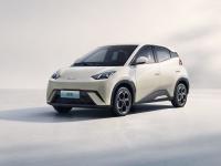 China BYD Compact Electric Hatchback 405km Range 55kW 5-Door 4-Seat Pure EV for sale