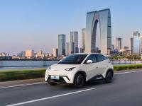 China BYD Compact Electric Hatchback 405km Range 55kW 5-Door 4-Seat Pure EV for sale