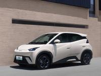 China BYD Compact Electric Hatchback 405km Range 55kW 5-Door 4-Seat Pure EV for sale