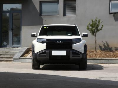 中国 コンパクトSUV 純電気501kmの走行距離 2025年発売人気の中古車 販売のため