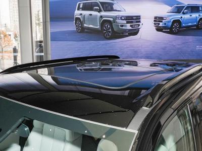 중국 인기 중고차 2025 Fang Cheng Bao 501km 범위와 310kW 최대 전력 및 효율성을 가진 컴팩트 SUV 판매용