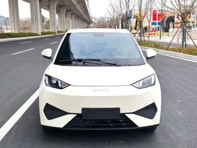 China BYD Seagull 2025 Smart Driving Edition 305km Vitality Automatic for sale