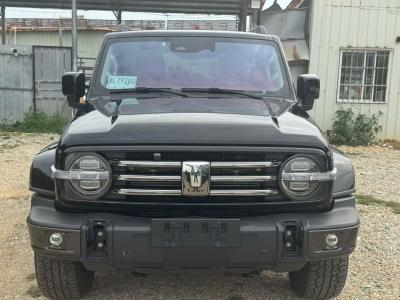China Great Wall TANK 300 2021 2.0T City Edition Stylish for sale