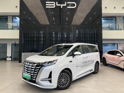 China Denza D9 DM 2025 Smart Driving Edition 1020 4WD Flagship for sale