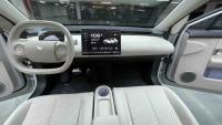 China Firefly 2025 Illuminated Edition Electric Car 420km Range 3000km Mileage for sale