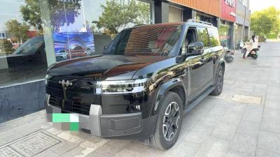 China Formula Leopard 2025 Titanium 7 1.5T CVT 190KM AWD Max for sale