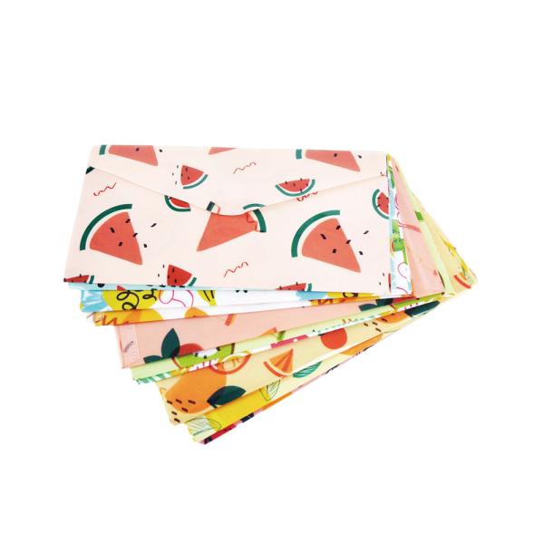 Quality Customized Logo Printed Plastic Self Seal Gummed Cash Envelope for Budget for sale