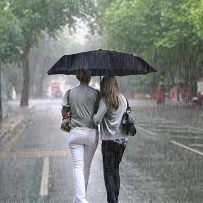 China 10 Ribs Auto Open Close Collapsible Folding Travel Umbrella for Rain Protection for sale