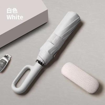China Steel Frame Automatic Lock Handle Travel Occasion Windproof Large Umbrella for Men for sale