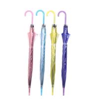 China Plastic Creative Small Fresh Long Handle Transparent Umbrella with Auto Open Function for sale