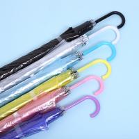 China Plastic Creative Small Fresh Long Handle Transparent Umbrella with Auto Open Function for sale