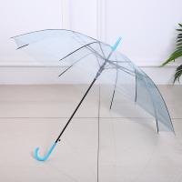China Plastic Creative Small Fresh Long Handle Transparent Umbrella with Auto Open Function for sale