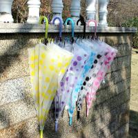 China Plastic Creative Small Fresh Long Handle Transparent Umbrella with Auto Open Function for sale