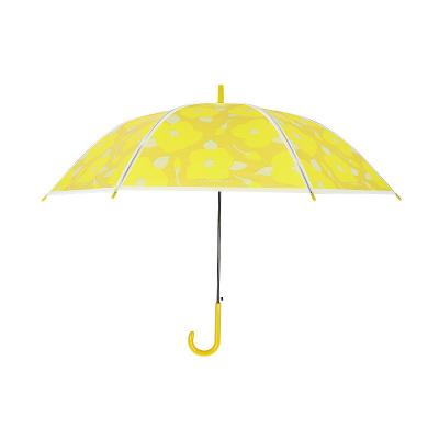 China Um guarda-chuva transparente de oito ossos congelado com alça longa, desenho automático para crianças à venda
