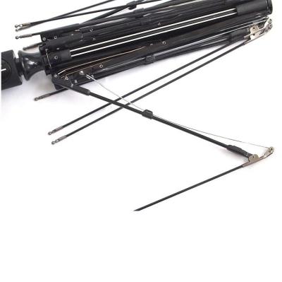 China Advertising Umbrella/Gift Umbrella 23