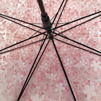 Cina Manico in plastica personalizzato Professionale POE Chiaro Compatto Sakura Ombrello per viaggi in vendita