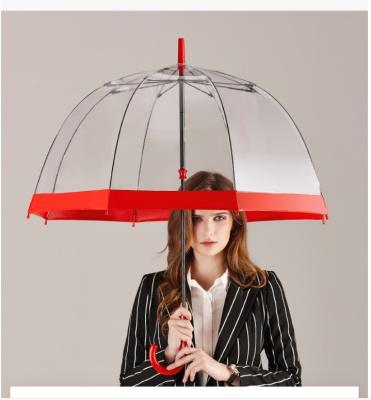 Cina Modello di cupola elegante Chiaro ombrello da pioggia in PVC di plastica per adulti Apollo Design minimalista in vendita