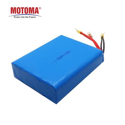Cina Batteria solare dell'iluminazione pubblica 18650 ricaricabili di MOTOMA 11.1V 10Ah in vendita