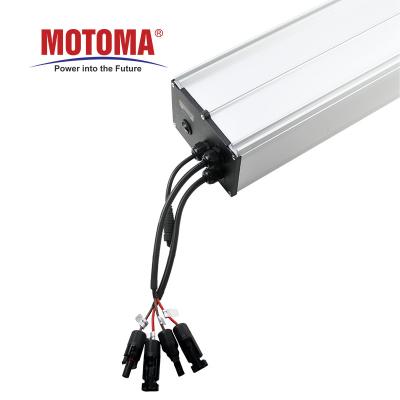 Cina Batteria dell'OEM 12V 24V 50Ah 60Ah LiFePO4 per l'iluminazione pubblica solare del LED in vendita