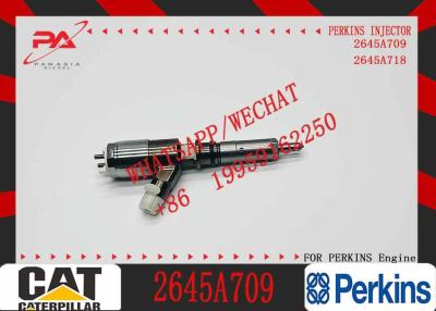 China High-Quality Fuel Injector 2645A709 282-0490, Durable Materials, Ensure Stable Vehicle Operation for sale