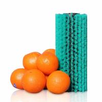 China Industrial Nylon Roller Brush for Fruit & Vegetable Cleaning - Custom Sizes 50-200mm with Multiple Material Options for sale