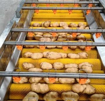 Cina Spazzola cilindrica in nylon industriale Spazzola di pulizia in vetro a filo inossidabile Spazzola a rulli per lucidare verdure e frutta in vendita