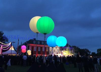 Cina Musa variopinta all'aperto della decorazione del partito di evento di illuminazione gonfiabile su misura del LED in vendita