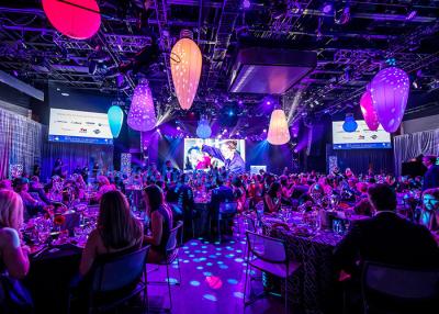 중국 웨딩 파티 LED RGB 라이트 풍선 광고 맞춤 광고 800w 판매용