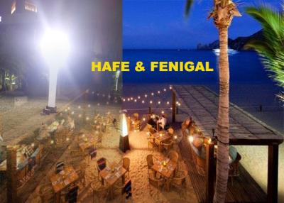 Chine Tour légère gonflable portative de l'halogénure 3m en métal 1000W à vendre