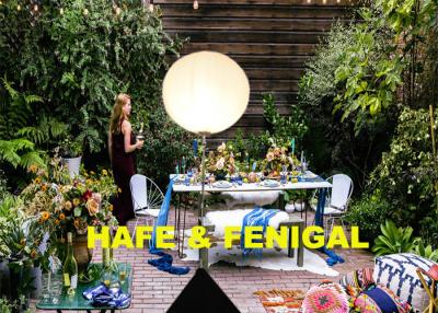 中国 Meanwell 90~305V AC/50-60Hz 2900k膨脹可能なLEDのライト 販売のため