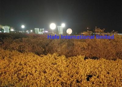 Cina Colore che cambia il pallone leggero gonfiabile del LED con DMX512 in vendita