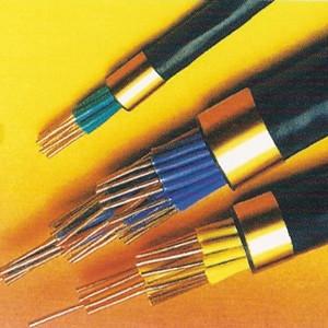 China XlPE insulated Silicon Rubber Control Cable for sale