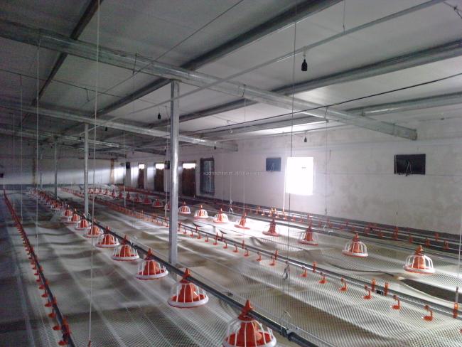 pvc pipe chicken feeders  for feeding line broilers feeding and drinking poultry equipment feeder quail chick tray pan