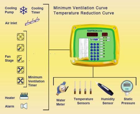 automatic poultry feed system  for sale house ground floor feeding farm chicken house System equipment Automatic price