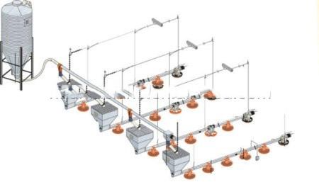 Automatic brolier feeding system  floor feeding System for broiler chicken farm house ground poultry Feed Equipment