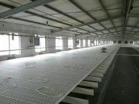 China White Plastic Slatted Floor For Poultry Chicken House Floor Slats Rectangular for sale