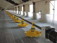 China Broiler Automatic Chicken Feeder System Using Microcontroller for sale