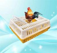 China Live Poultry Carrier Crate Broiler Plastic Cage 7-10 Chicken Capacity for sale