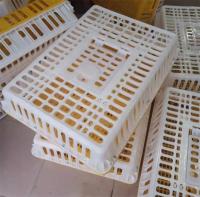 China Live Poultry Carrier Crate Broiler Plastic Cage 7-10 Chicken Capacity for sale