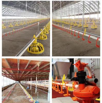 Cina Attrezzatura per l'alimentazione per l'allevamento del sistema di alimentazione sincrono di dosaggio del tipo a botte della linea di alimentazione del pollo per supportare il punto in vendita