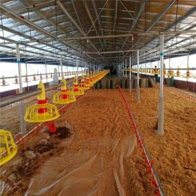 China 2kg-4Kg/Zeit-automatischer Bratrost-Fütterungssystem-Geflügelfarm-Fütterungssystem zu verkaufen