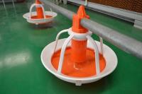 China Automatic Poultry Feeder For Broiler Automatic Pan Feeding System for sale