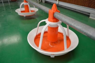 Cina Nuova vaschetta di alimentazione del sistema di alimentazione del pollame Desgin Poultry Feeder dalla fabbrica cinese in vendita