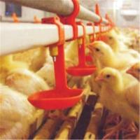 China Pan Chicken Feeding Line 120L Bin Automatic Chicken Feeder for sale